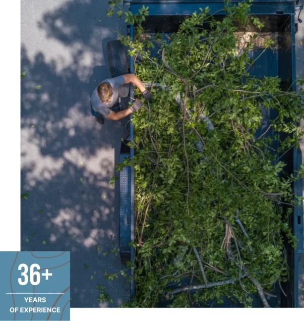 About Chop Nashville Tree Service | Serving Middle Tennessee